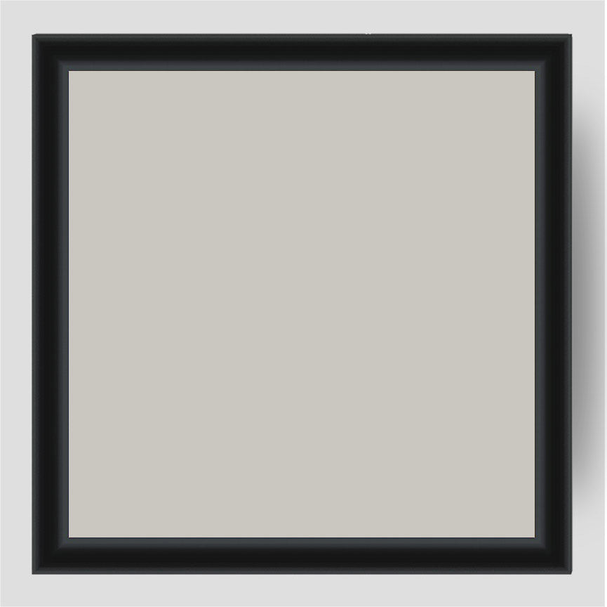 thin black frame with mount